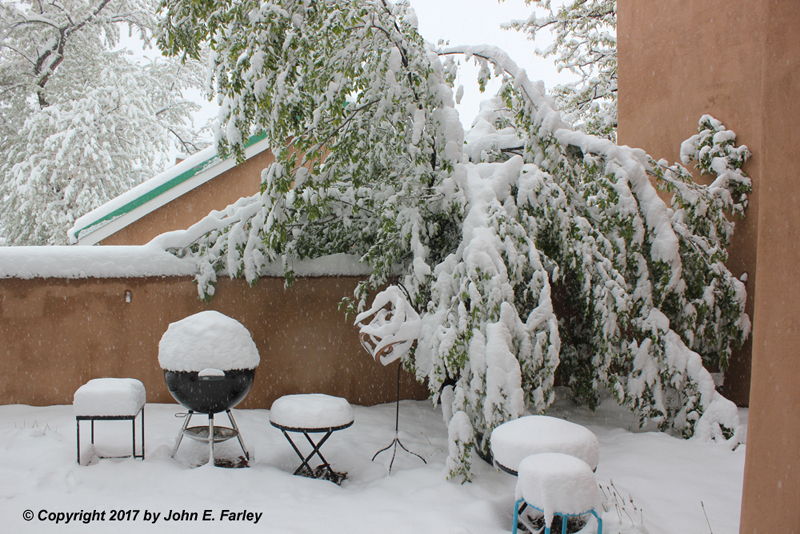Here are a couple more pictures showing how much snow fell in Santa Fe: