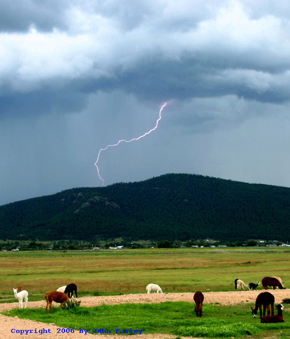 Lightning Over the Victory Alpaca Ranch, Mora, New Mexico
